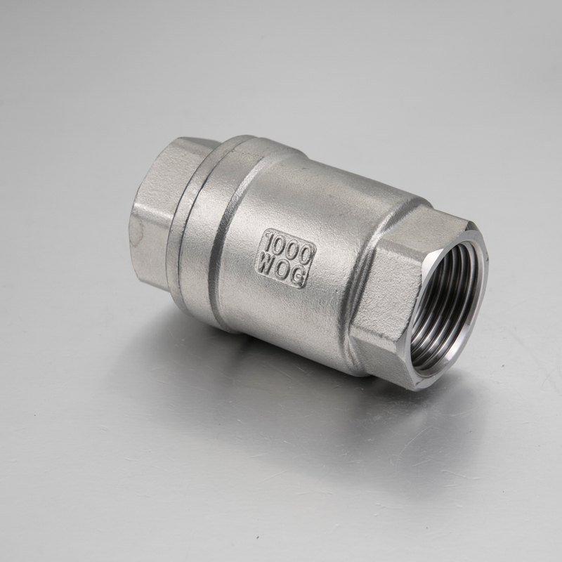 Stainless Steel 304/316 Spring Check Valve - Buy Spring check valve ...